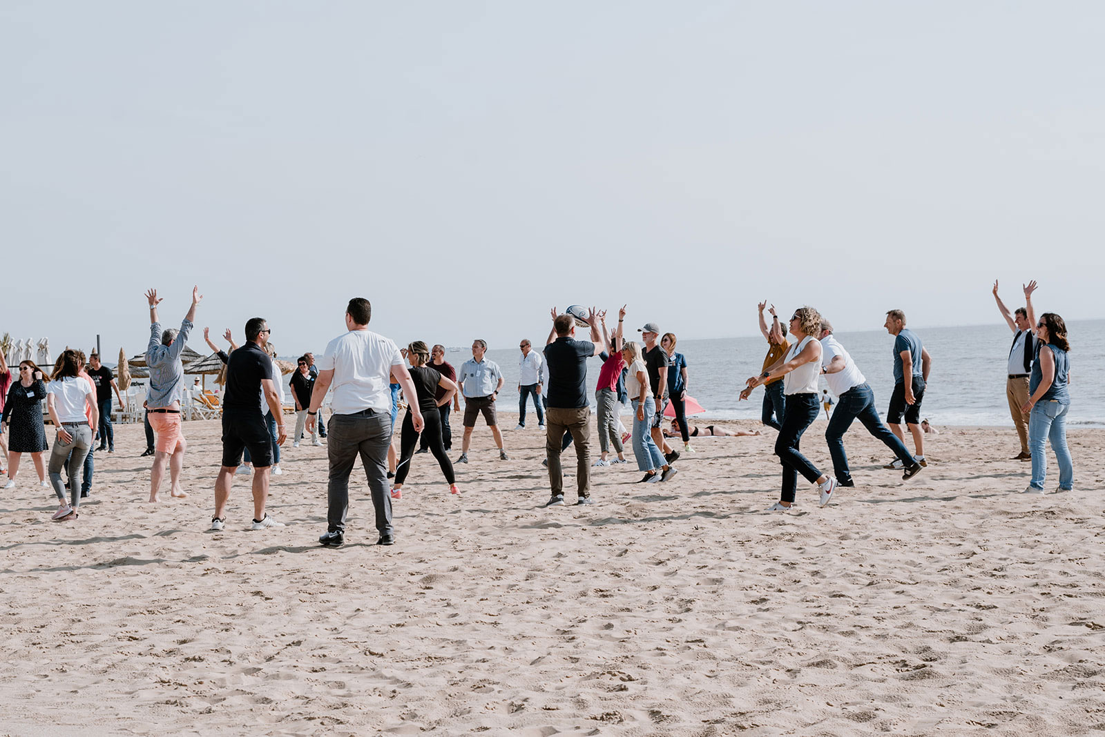 Formations ; Professionnaliser Le lien et le liant de la cohésion d ...